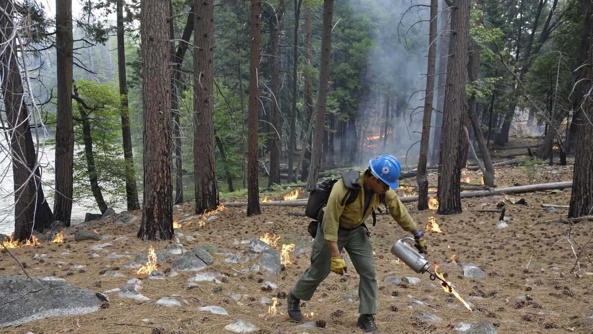 California encourages prescribed burns to counter wildfires