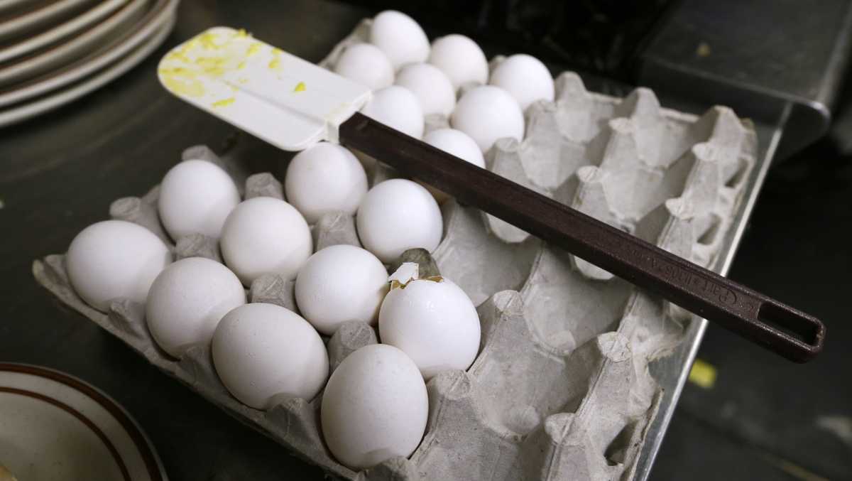Egg recall alert: 42 people in Wisconsin sickened