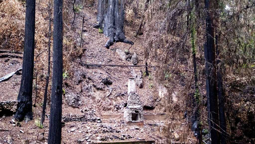 Clean up process after CZU Lightning Complex makes slow progress