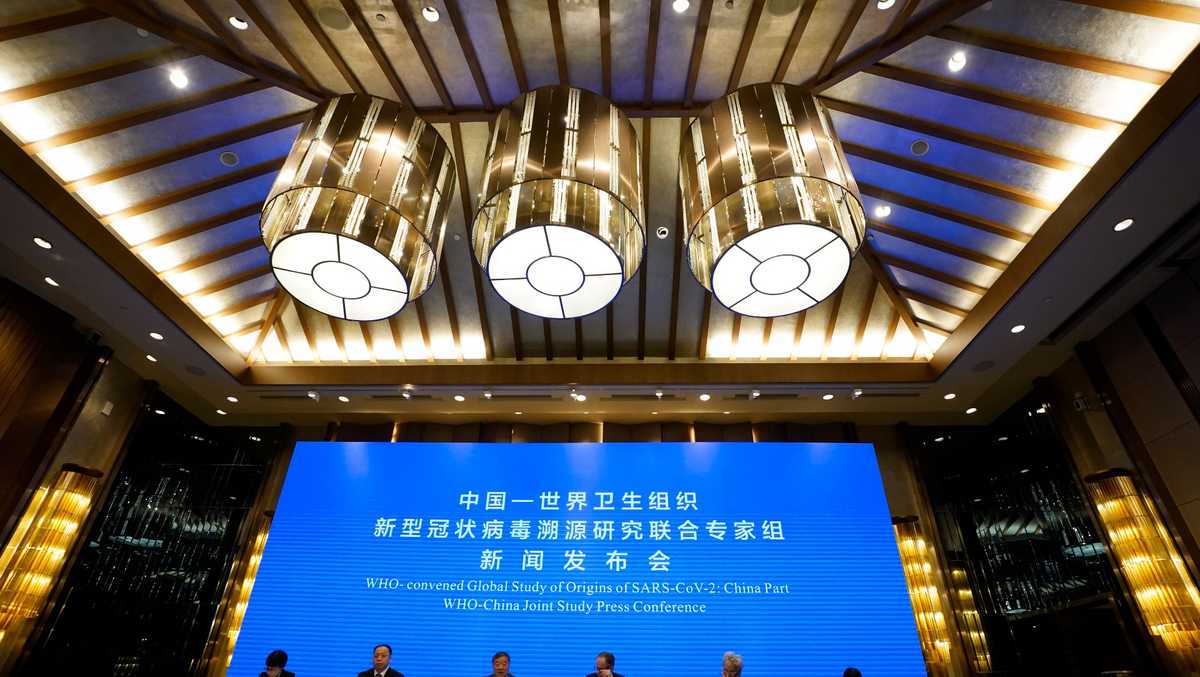 WHO says search for COVID-19 origins has stalled, window for answers ...