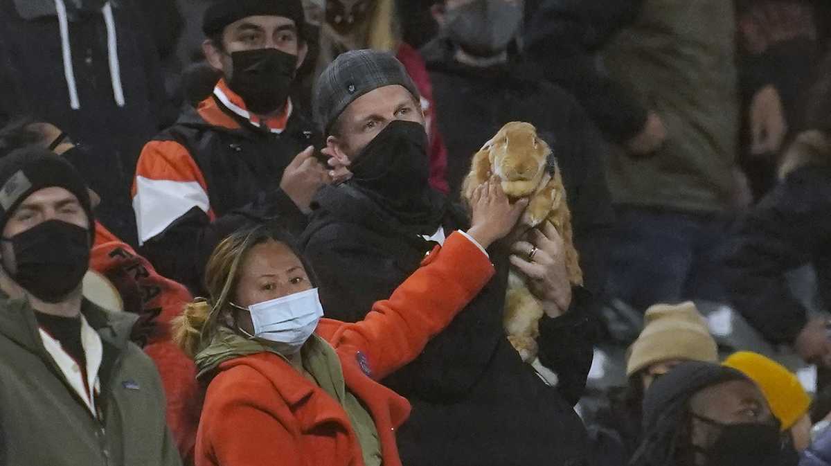 Therapy bunny at SF ballpark brings smiles, is instant hit
