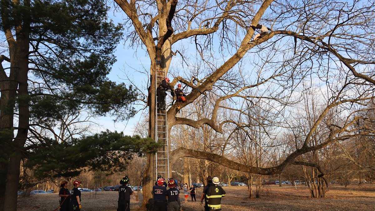 VIDEO: Indiana teen rescued after getting stuck in tree rescuing cat