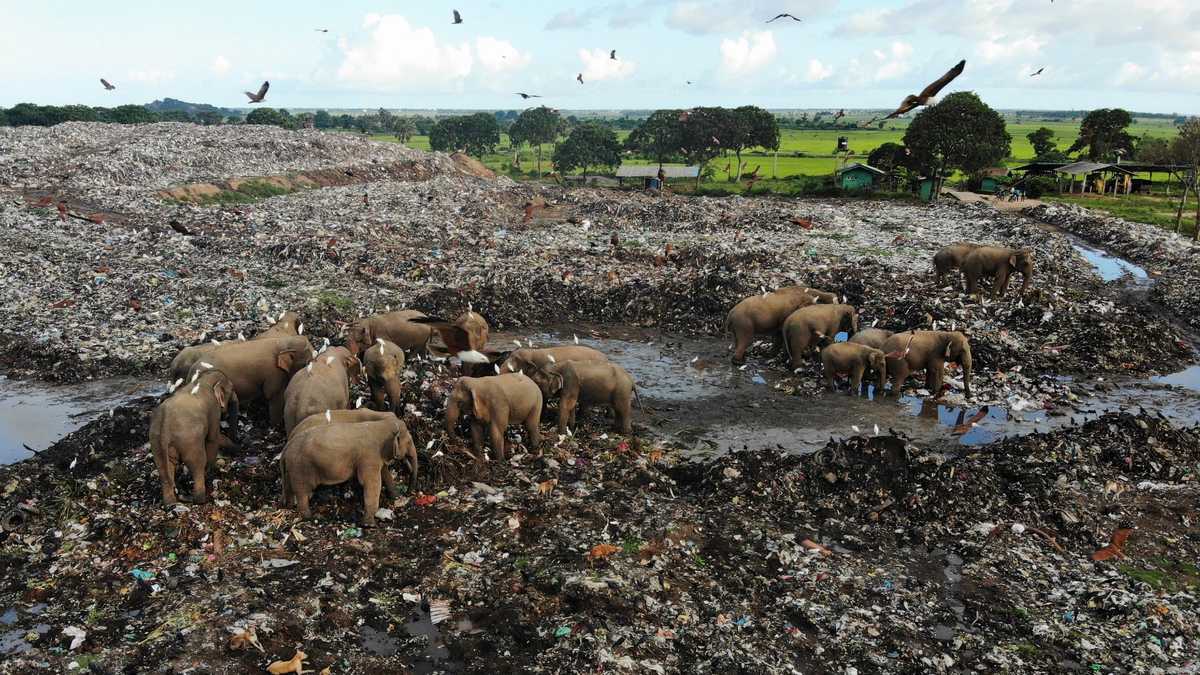 Gallery: As world marks Earth Day, trash still big problem