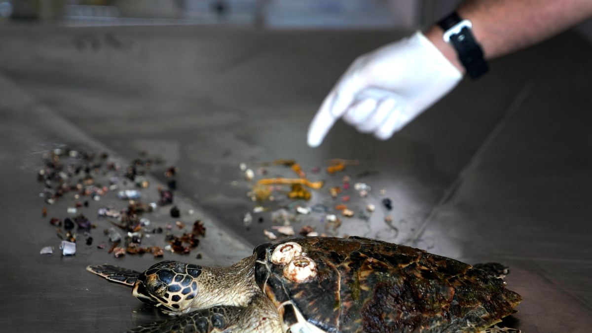 Gallery: As world marks Earth Day, trash still big problem