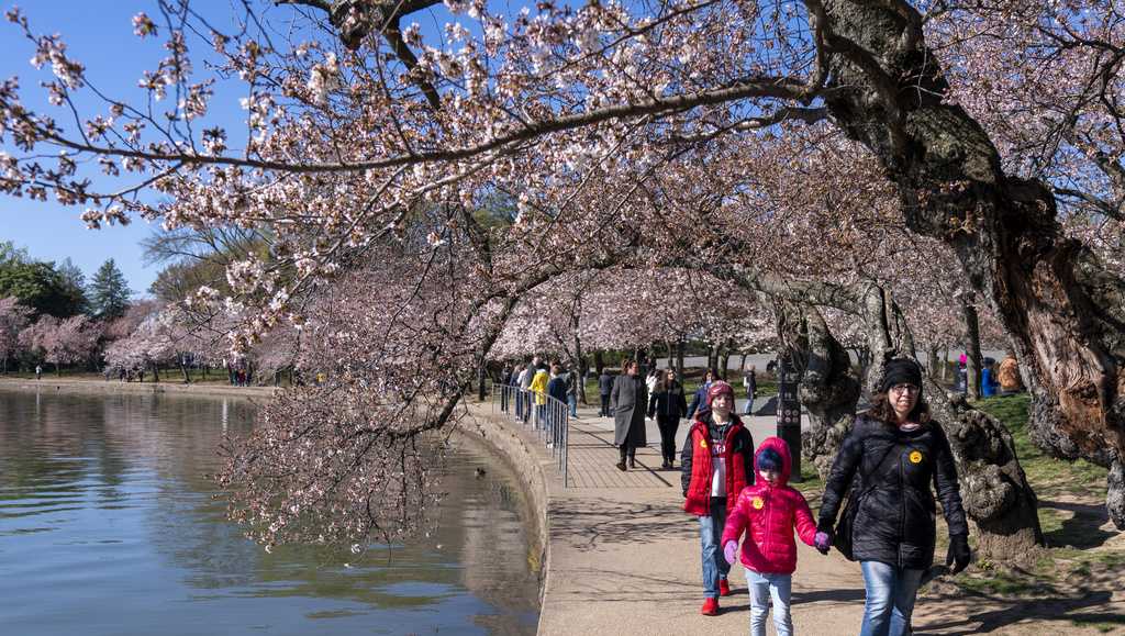 It’s the first day of spring! Here’s what that really means