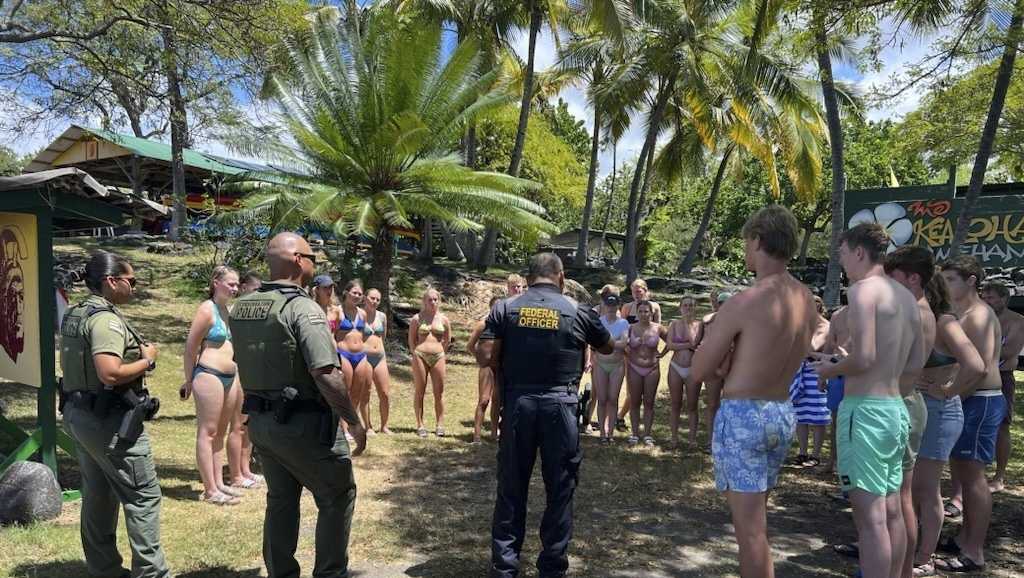 Hawaii Authorities Say 33 Swimmers Were Harassing Dolphins