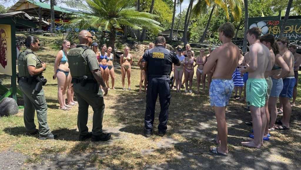 Hawaii Authorities Say 33 Swimmers Were Harassing Dolphins