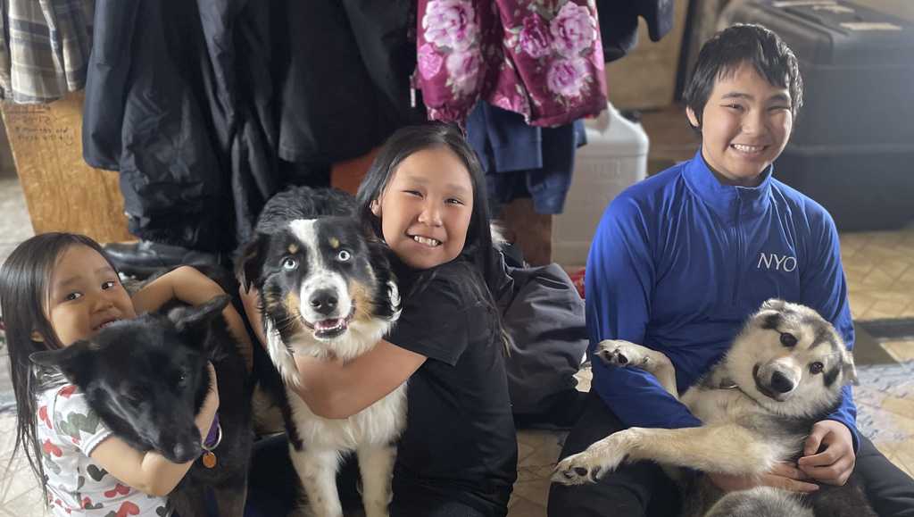 Watch: Dog reunited with owners after 150-mile Alaskan sea-ice odyssey