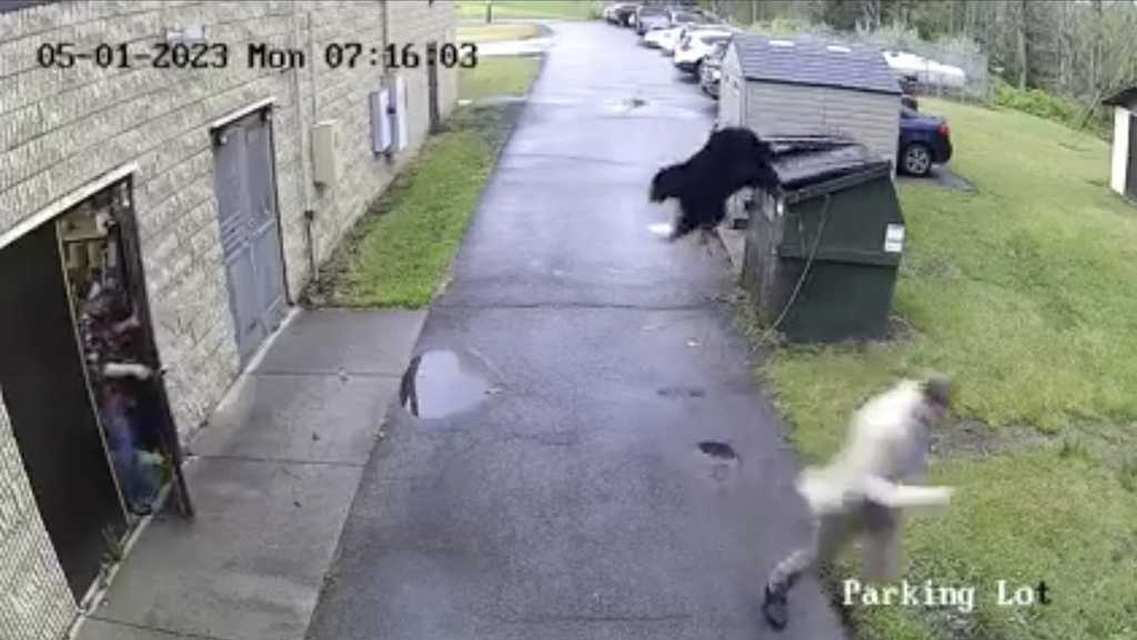 Watch: Bear gives West Virginia principal a roaring wake-up call