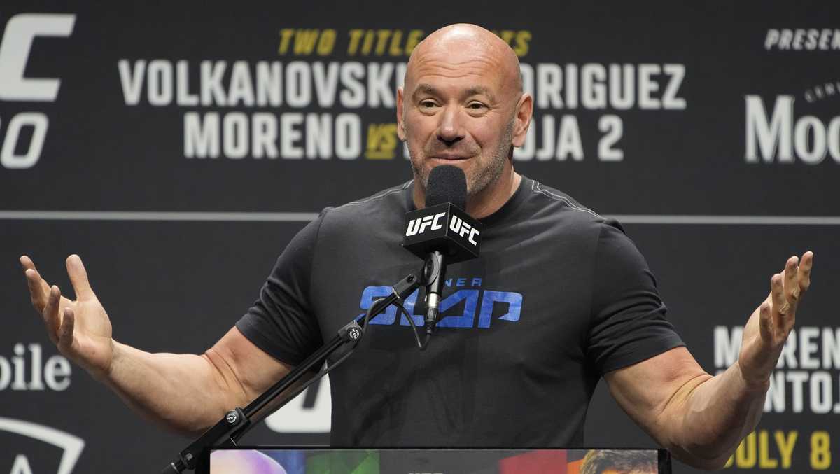 Man accused of trying to break into Dana White's Levant home