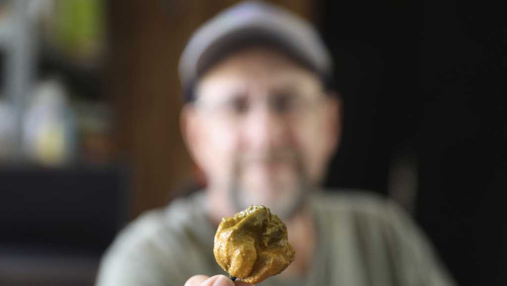 Pepper expert scorches his own Guinness Book record with Pepper X