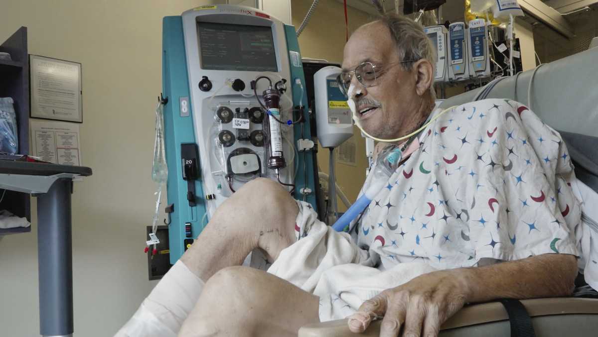 Pig heart transplant recipient reaches 1-month mark
