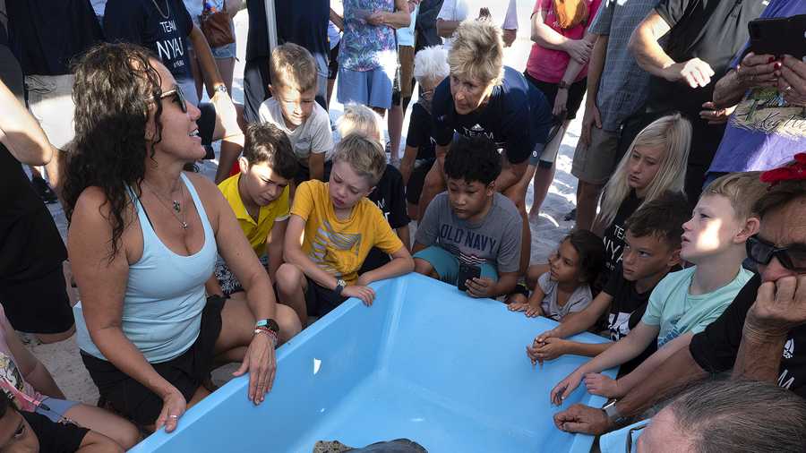 Diana Nyad marks anniversary of Cuba-Florida swim, freeing ...