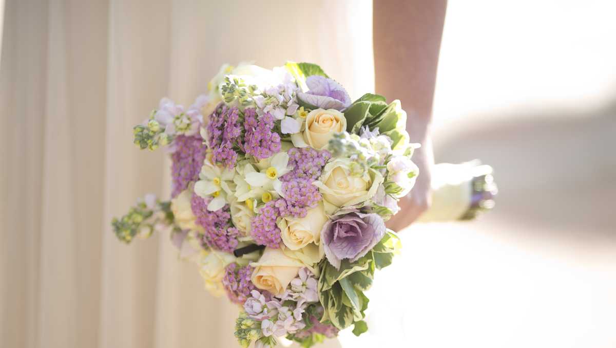 College students are flocking to the Marriage Pact, mostly for fun, but ...