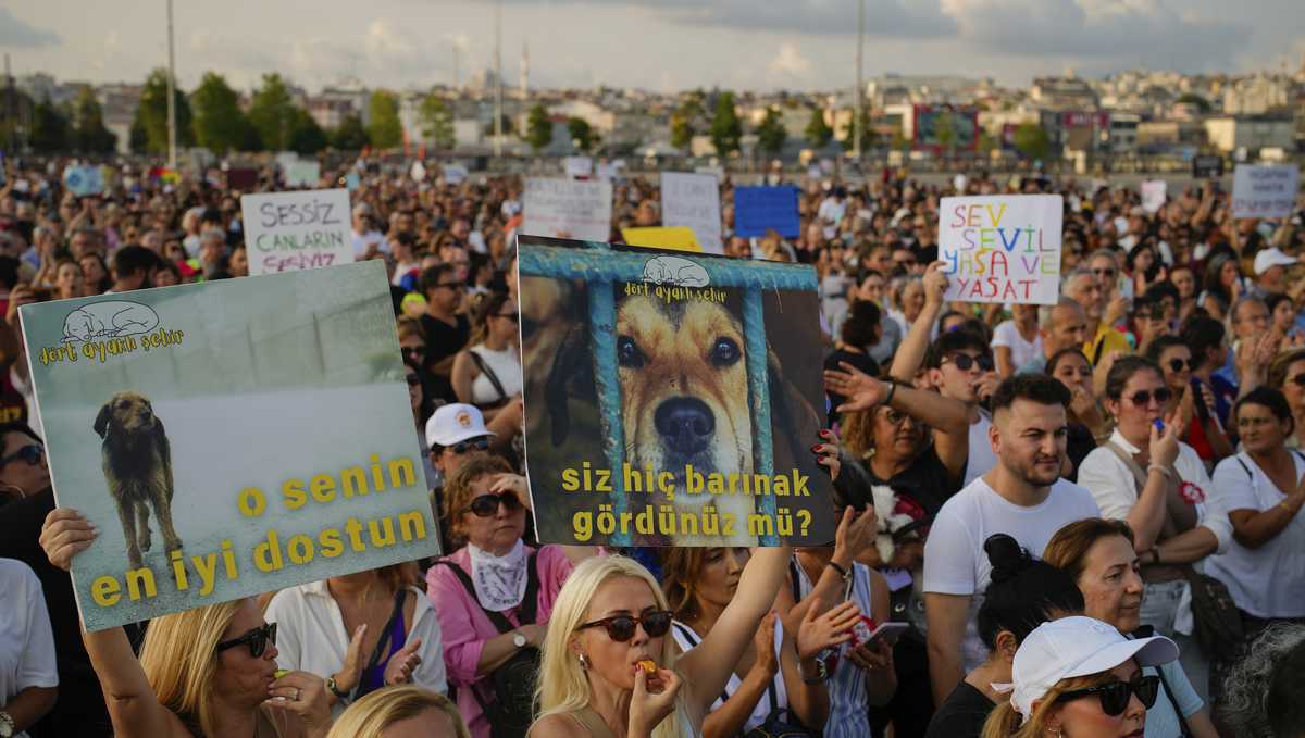Thousands of Turks protest controversial law to remove stray dogs