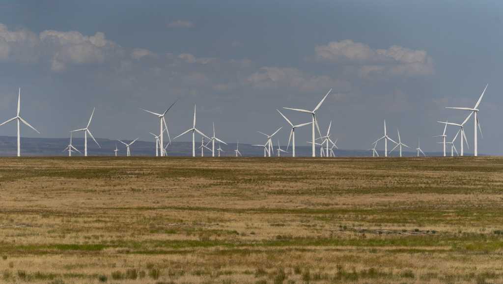 Trump halts offshore wind projects