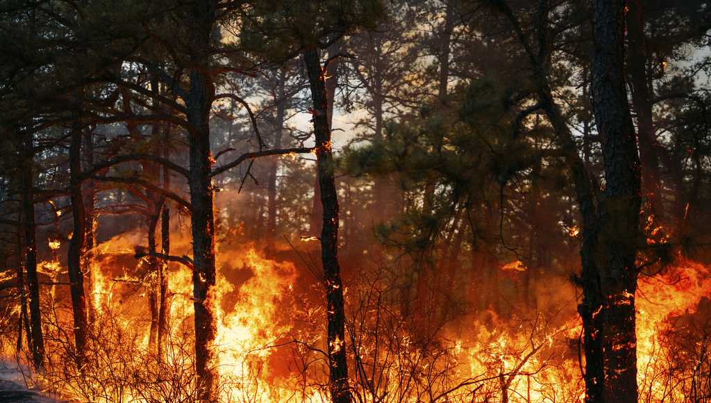 Wildfires force evacuations in Carolinas and New Jersey