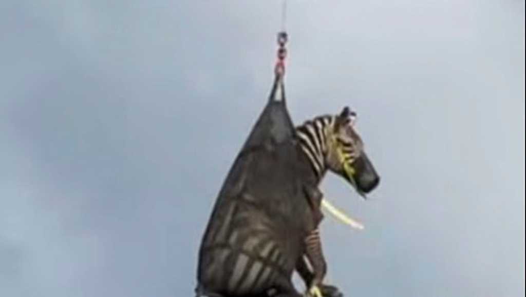 A runaway pet zebra has been captured in Tennessee