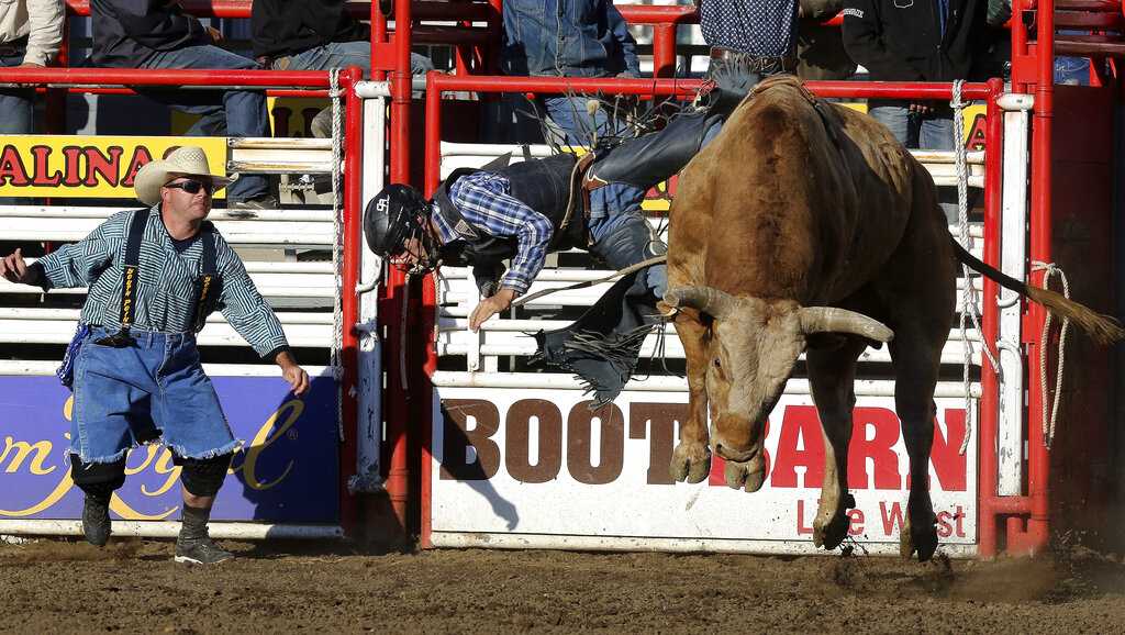 Bull riding brings big crowds to California Rodeo Salinas