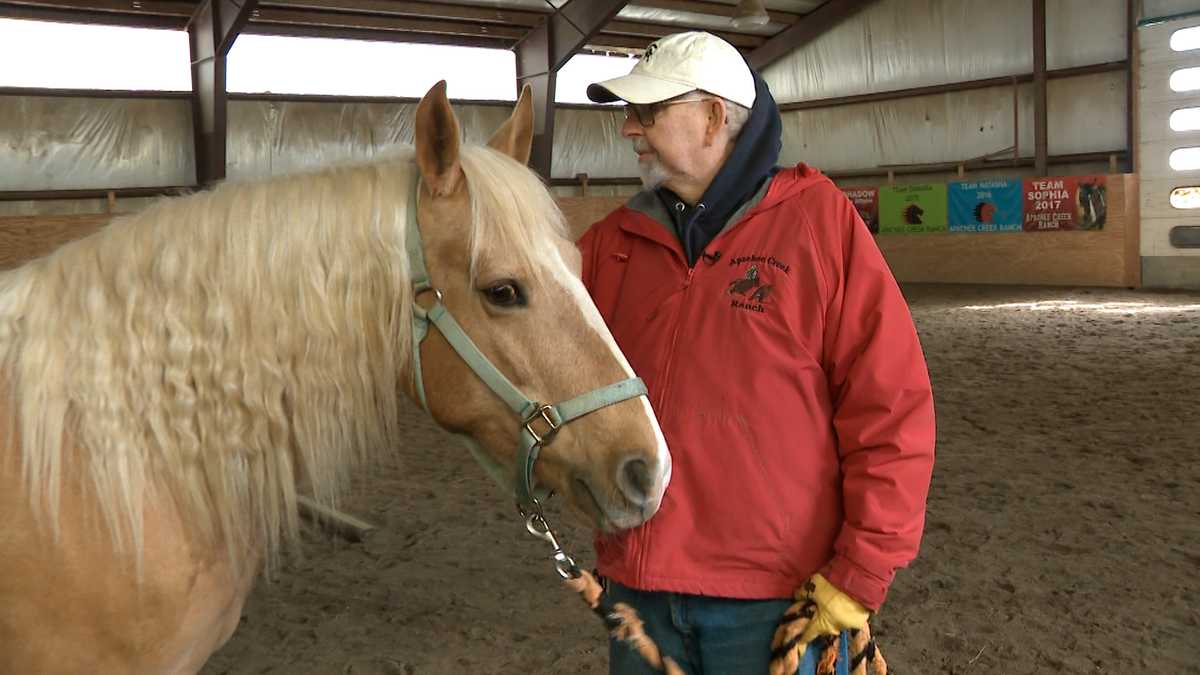 Apache Creek Mustang Rescue