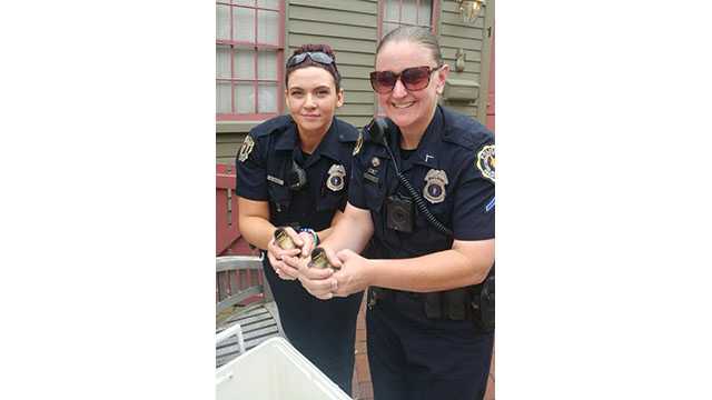 Annapolis police officers rescue ducklings