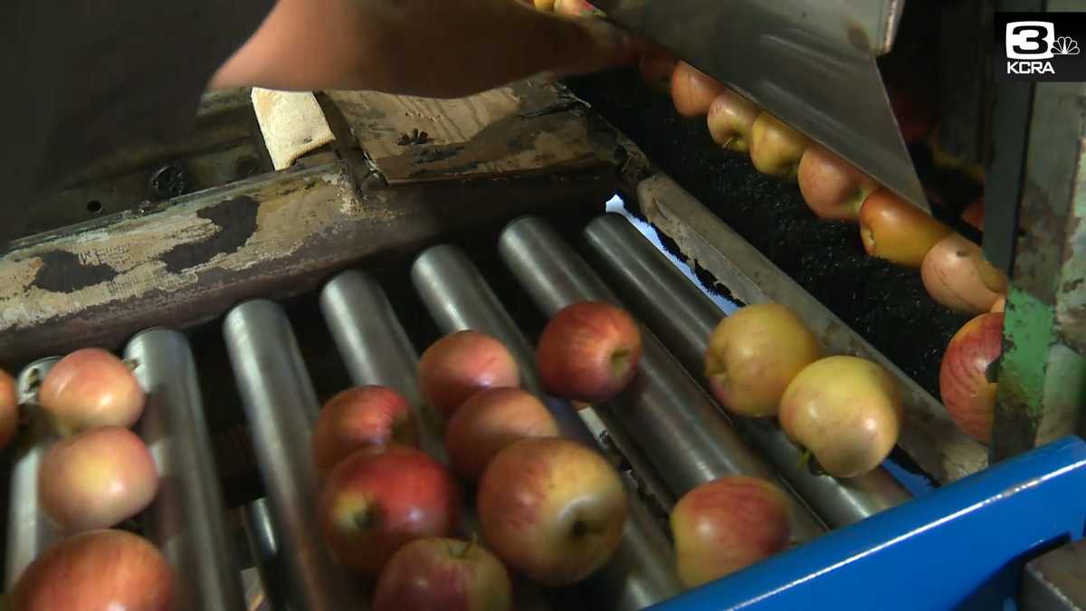 Fall scents, flavors and why we love them