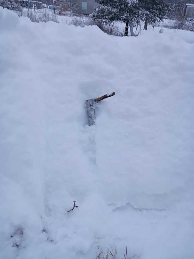 Christmas Eve day snowstorm dumps over a foot of snow
