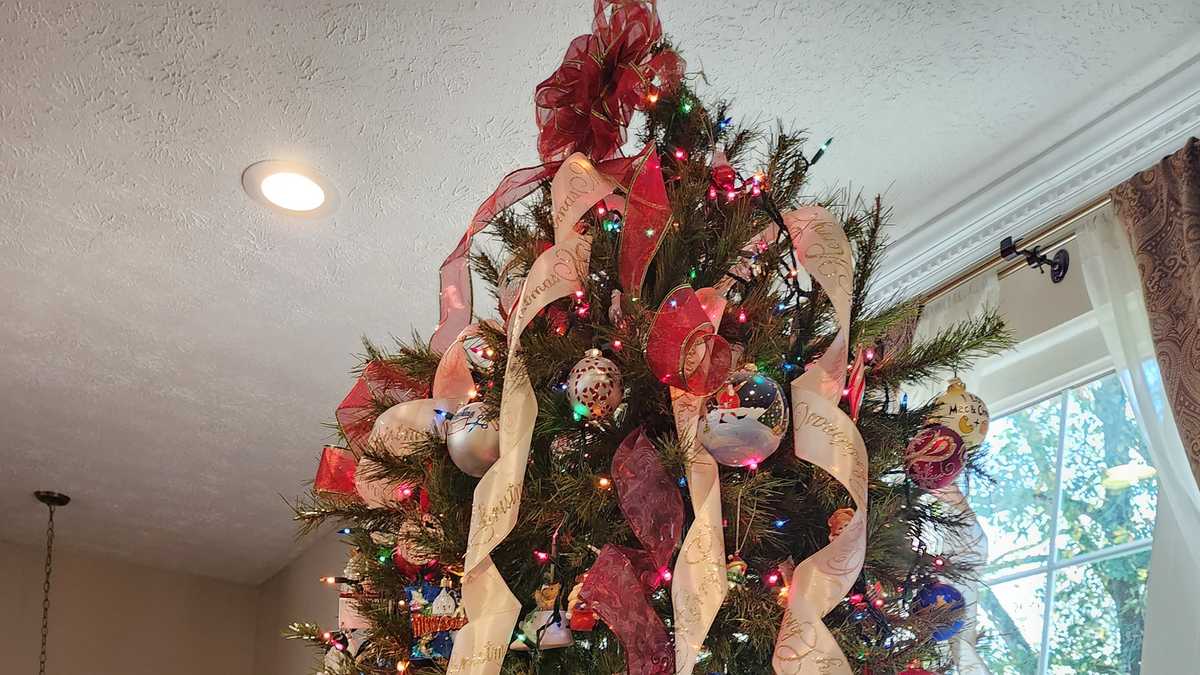 Photos: 2023 Christmas trees in Maryland