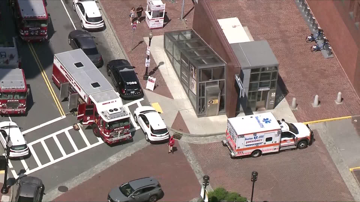 Blue Line service resumes after man hit by train at Aquarium Station