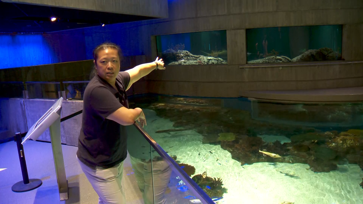 National Aquarium curator creates path in biology and zoology