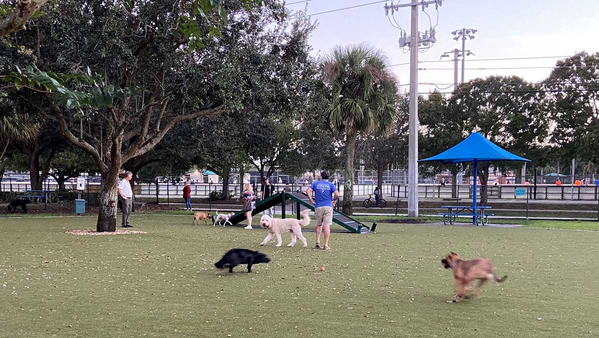 Mysterious dog respiratory illness