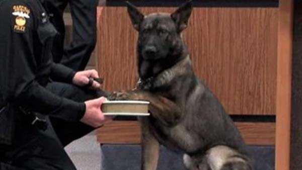 Ohio police K9 retires after 8 years of service