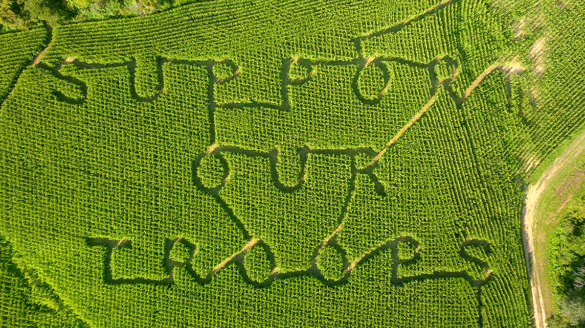 North Carolina: ‘Support our troops’ military-themed corn maze