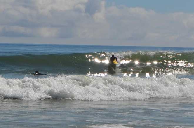 Fatal shark attack victim's aunt calls for alert system