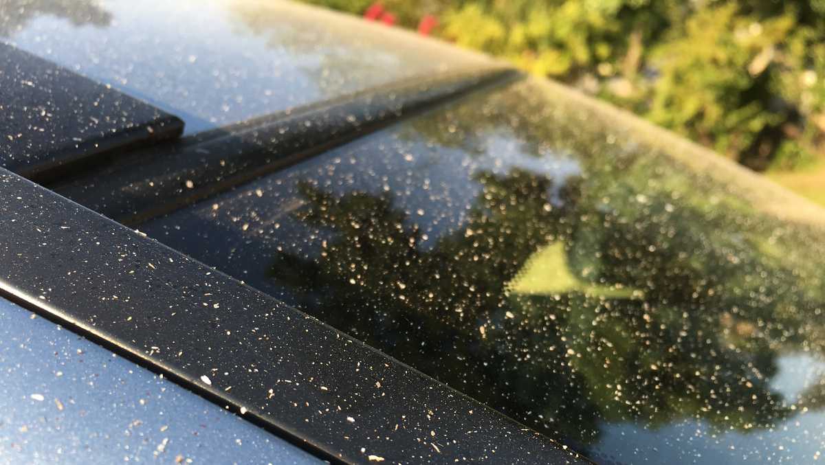 Wildfire ash seen across Sacramento area