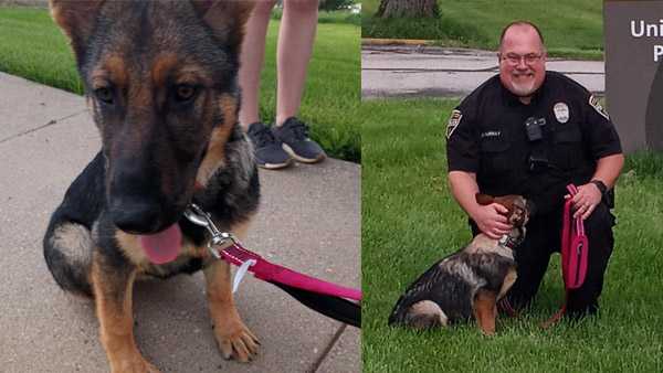 NKU police department welcomes new officer, a 17-week-old puppy