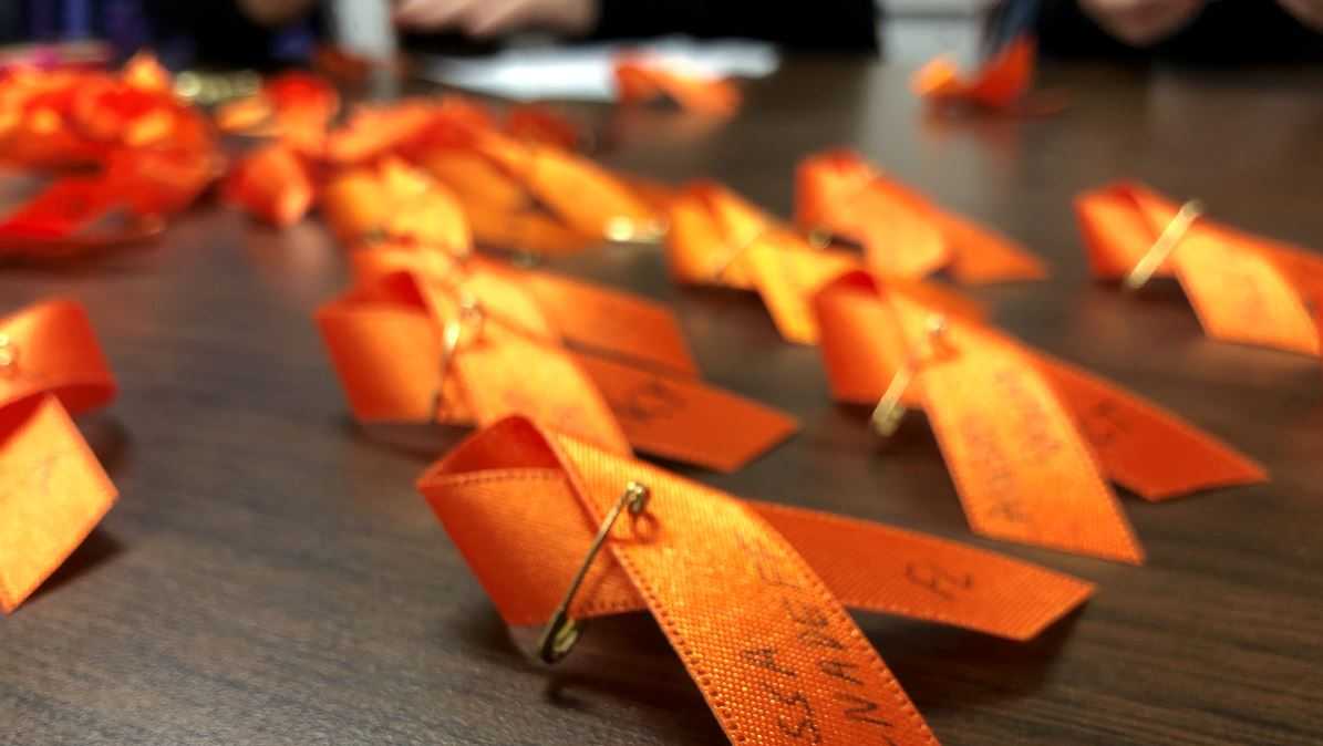 Atherton High School students to honor school shooting victims