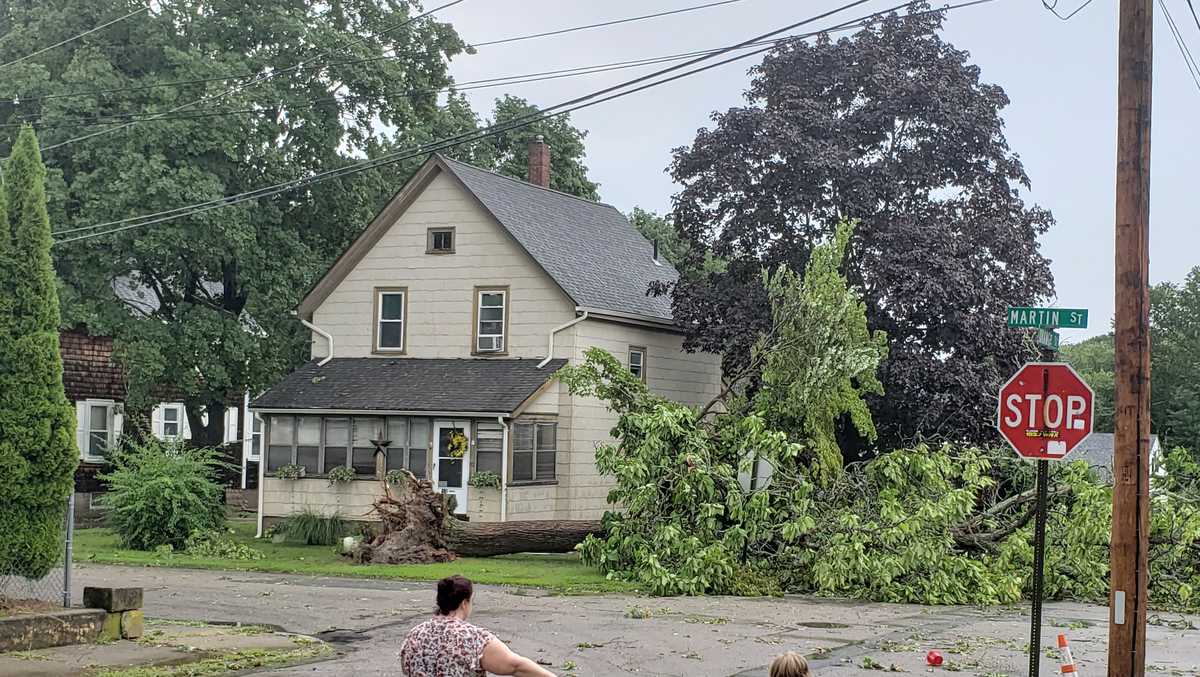 Severe T Storm Downs Trees Knocks Out Power In Parts Of Mass