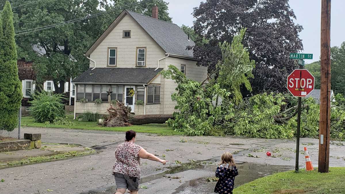 Severe T Storm Downs Trees Knocks Out Power In Parts Of Mass