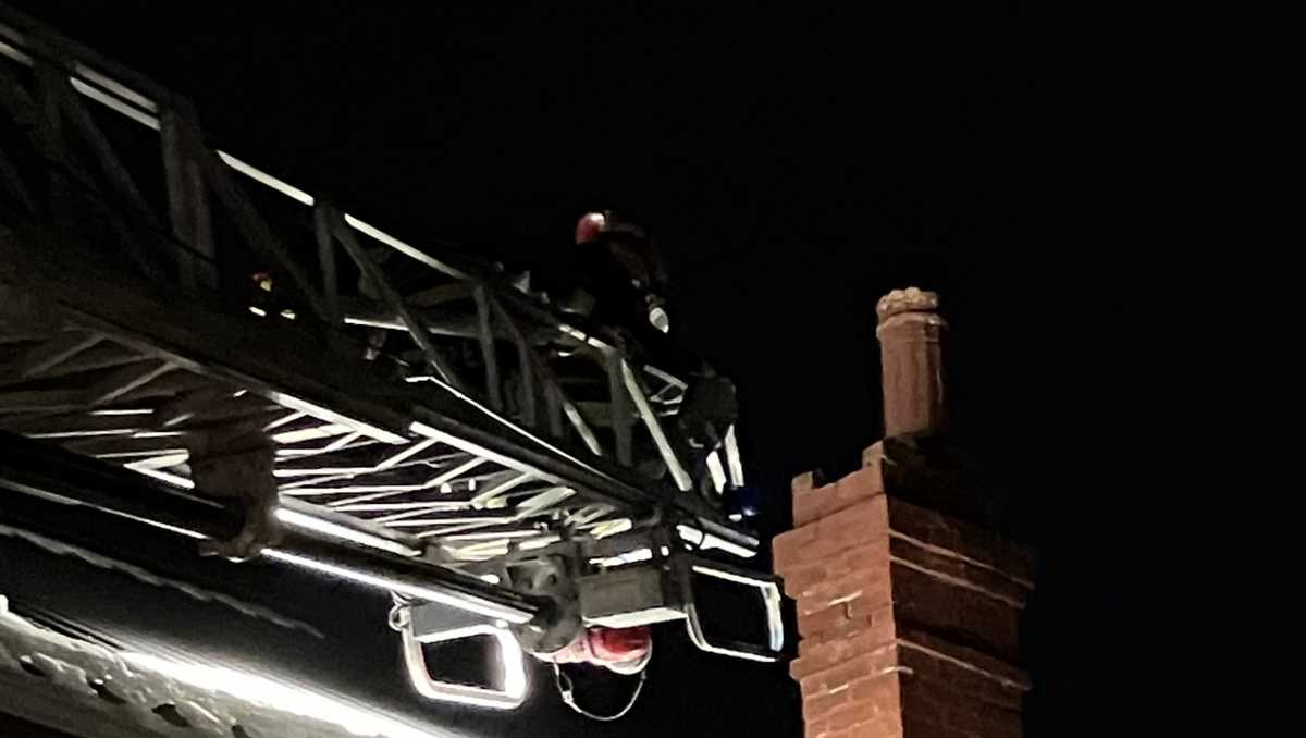 Aurora firefighters save cat from chimney in freezing conditions