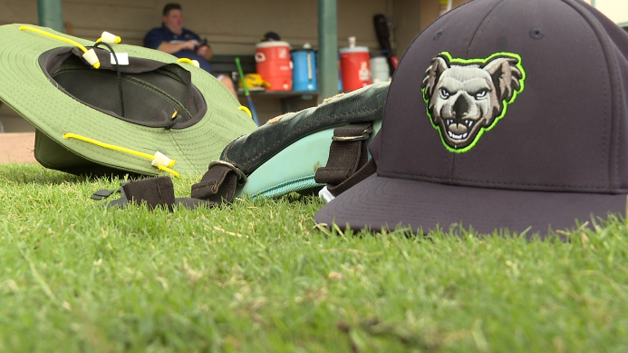 Savannah Bananas welcome Aussie Drop Bears in first-ever International ...