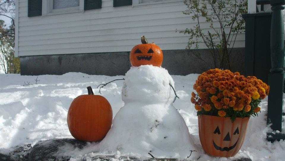 Photos: The Halloween snowstorm - Snowtober 2011