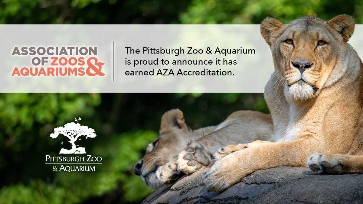 Pittsburgh Zoo & Aquarium earns accreditation from AZA