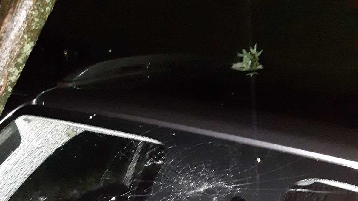 PHOTOS: Storm creates path of damage across Omaha metro