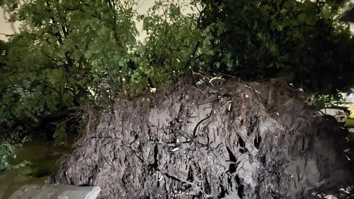 PHOTOS: Storm creates path of damage across Omaha metro