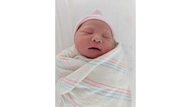 Gov. Larry Hogan welcomes second granddaughter this summer