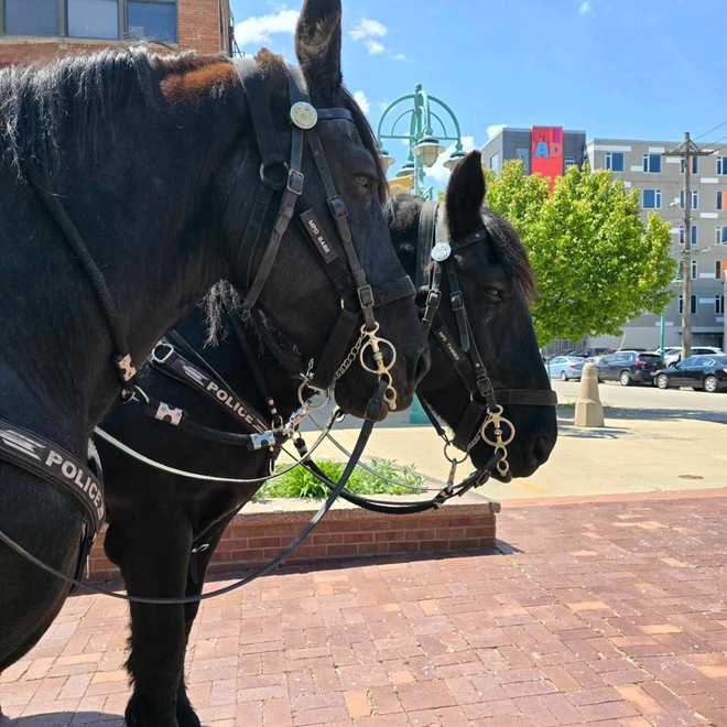 Milwaukee mounted patrol horse "Babe" retires