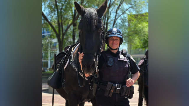 Milwaukee mounted patrol horse "Babe" retires