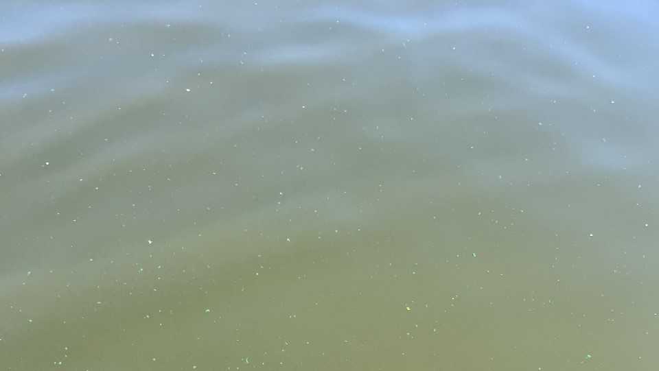 Cyanobacteria bloom reported on Baboosic Lake in Amherst, NH