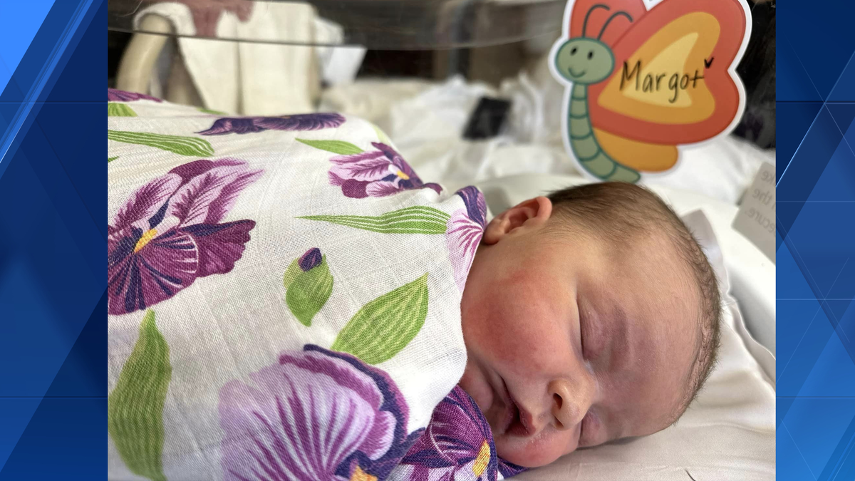 Welcome Margot! Pittsburgh's Action News 4 reporter Lily Coleman ...